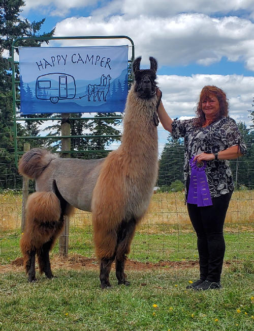 Hidden Oaks Llama Ranch
